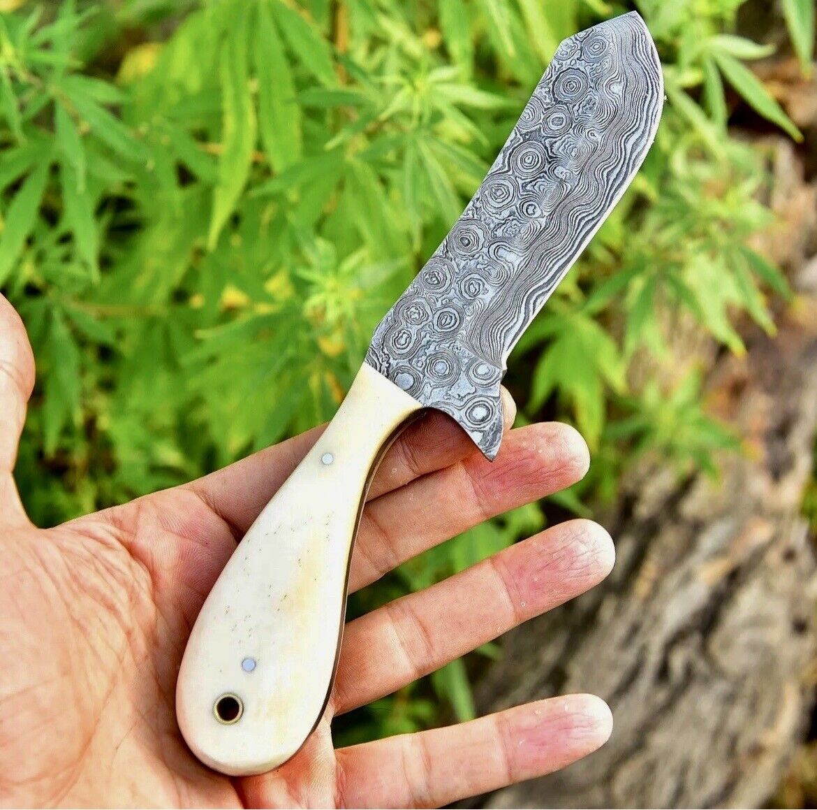 Gareth Bull Shamwari Inspired 8" Handmade Damascus Knife – Camel Bone